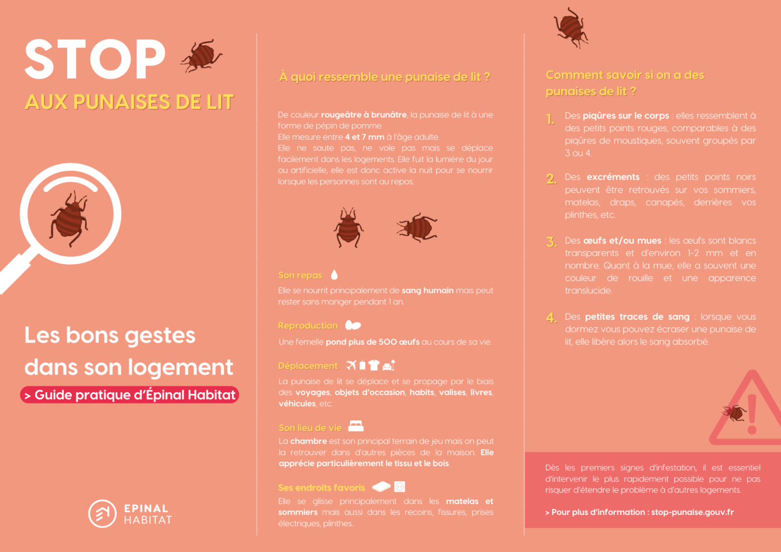 Lancement de la campagne de prévention des blattes et punaises de lit ...