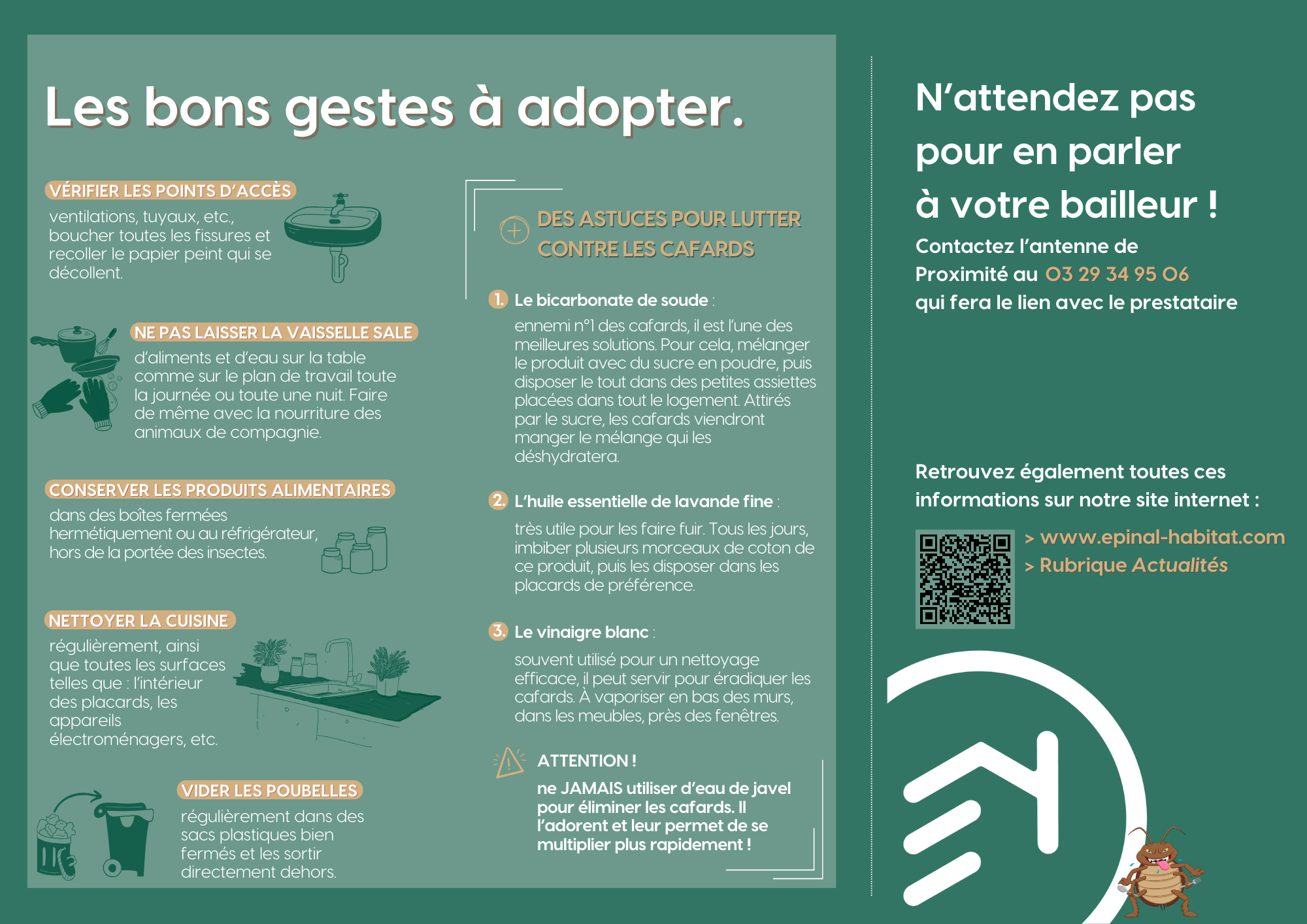 Campagne de prévention contre les cafards - Épinal Habitat
